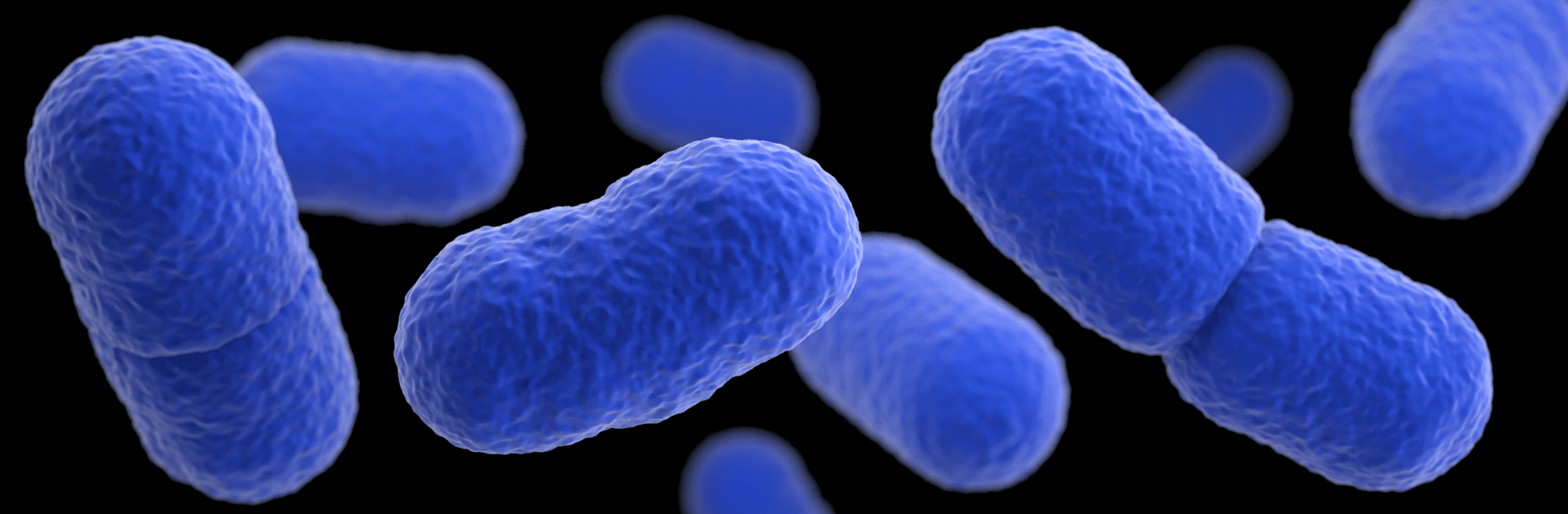 Listeria May Be Serious Miscarriage Threat Early In Pregnancy