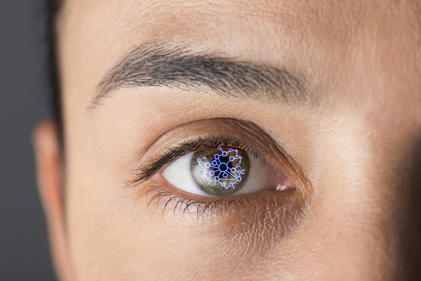 Faster brain waves make shorter gaps in the visual stream – UW–Madison News