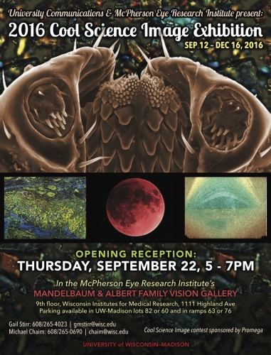 Cool Science Image Contest