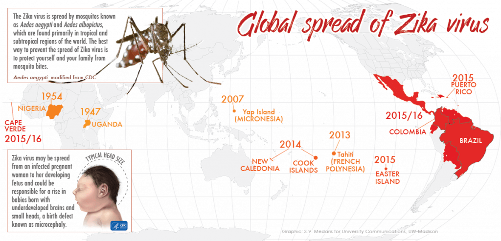 UW–Madison researchers begin work on Zika virus – UW–Madison News