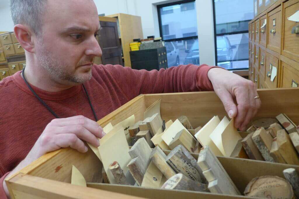 Forensic botany course covers legal side of wood, pollen, contraband ...