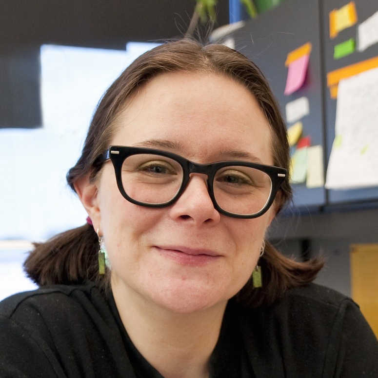 Twelve professors receive Romnes Faculty Fellowships – UW–Madison News