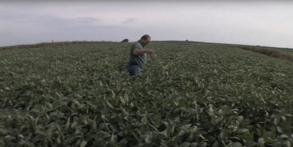 Getting Back in the Fields