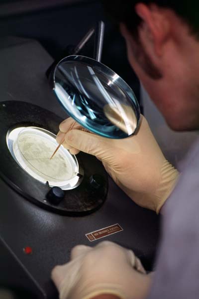 Fred Blattner: genetics pioneer, entrepreneurial success, and all that ...