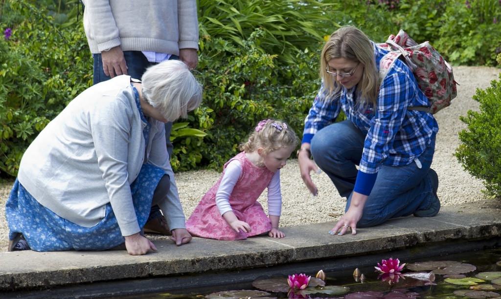 Telling the tale of midlife in the United States – UW–Madison News