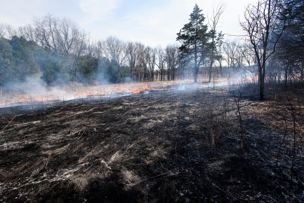 Prescribed fires begin at Arboretum, Lakeshore Nature Preserve – UW ...