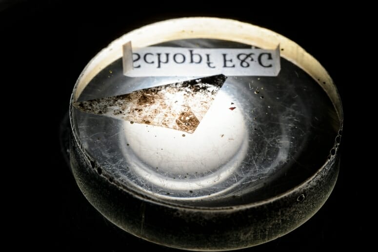 Oldest fossils ever found show life on Earth began before 3.5 billion ...