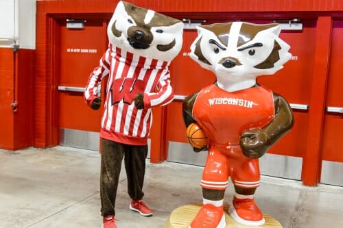 85 different Bucky statues to be unveiled to kick off ‘Bucky on Parade ...