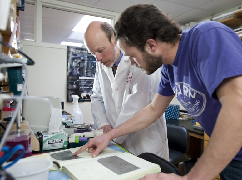 Clinical prospects for stem cells begin to emerge – UW–Madison News ...