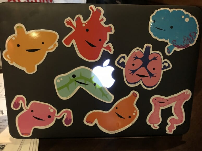 The wonderful, funny and strange world of laptop stickers – UW–Madison News