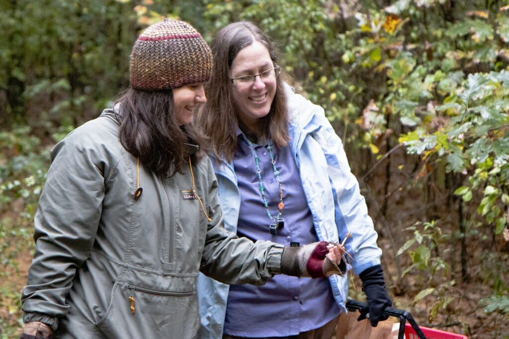 ‘Foray’ draws scientists to Wisconsin in search of mushrooms ...