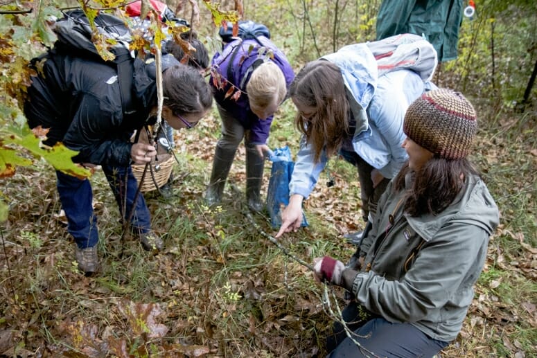 ‘Foray’ draws scientists to Wisconsin in search of mushrooms ...