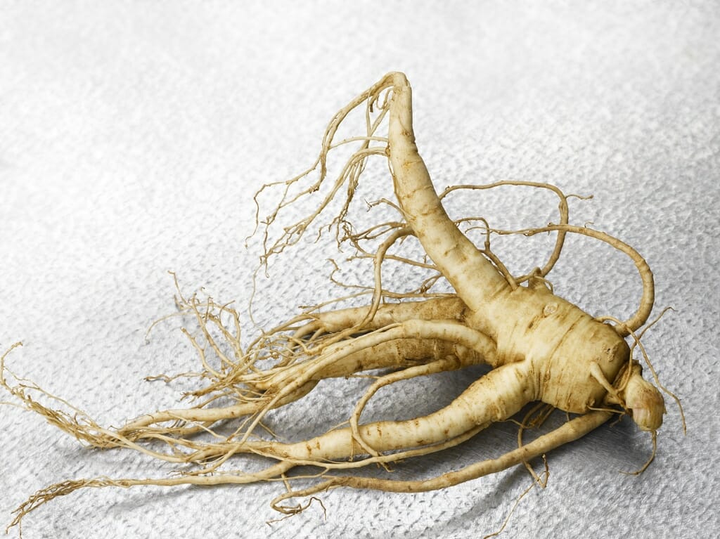 To expand exports, Wisconsin ginseng industry relies on UW-Madison ...