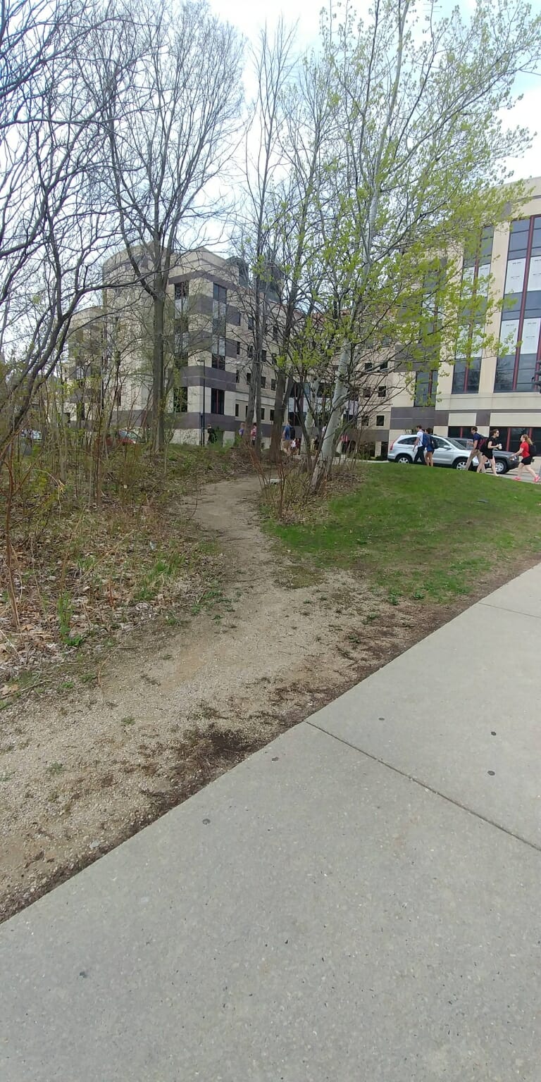 Desire paths: the unofficial footpaths that frustrate, captivate campus ...