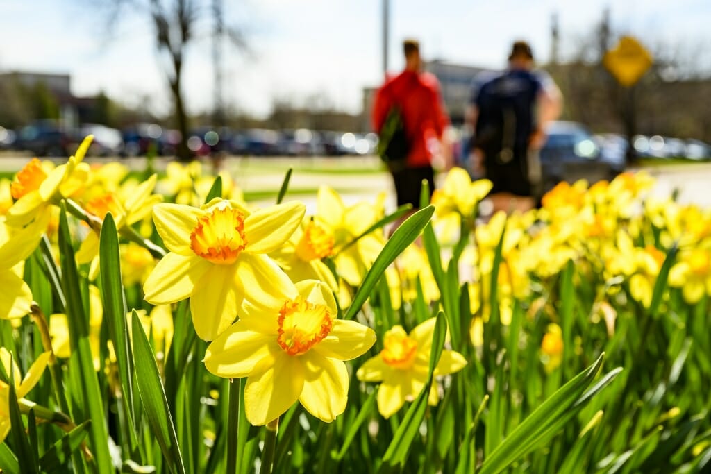 Campus springs to life