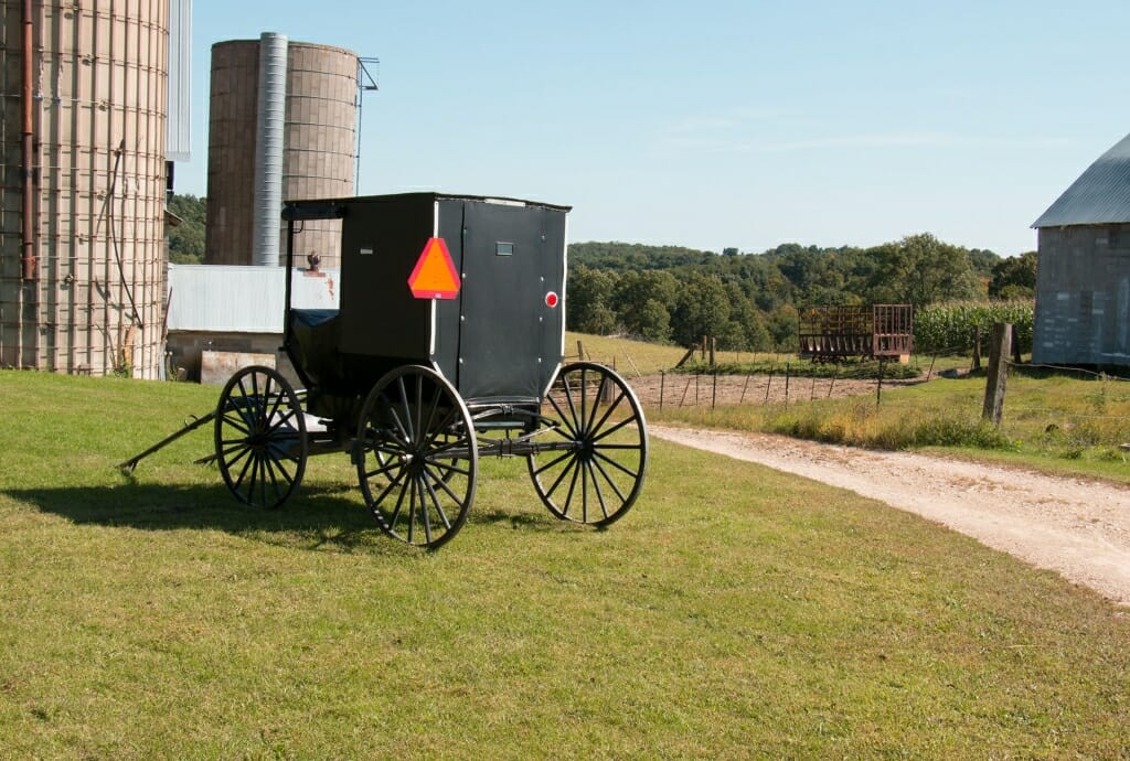 21st century medicine helps Amish deal with rare, inherited illnesses ...