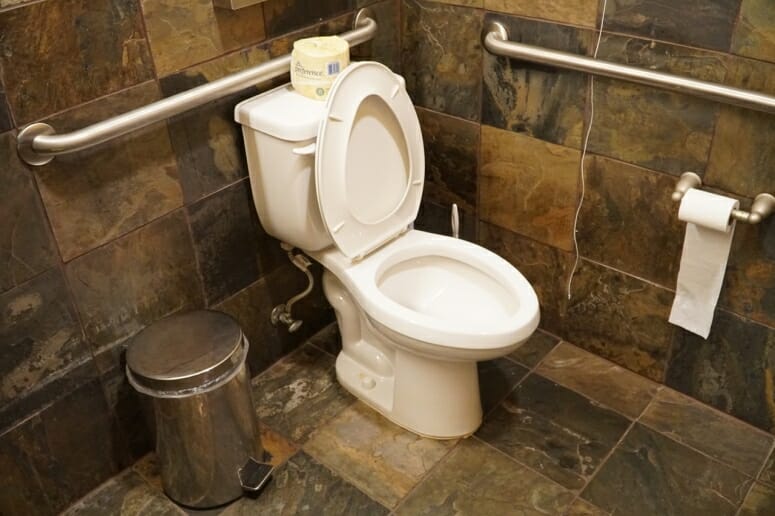 Can ‘smart toilets’ be the next health data wellspring? – UW–Madison ...