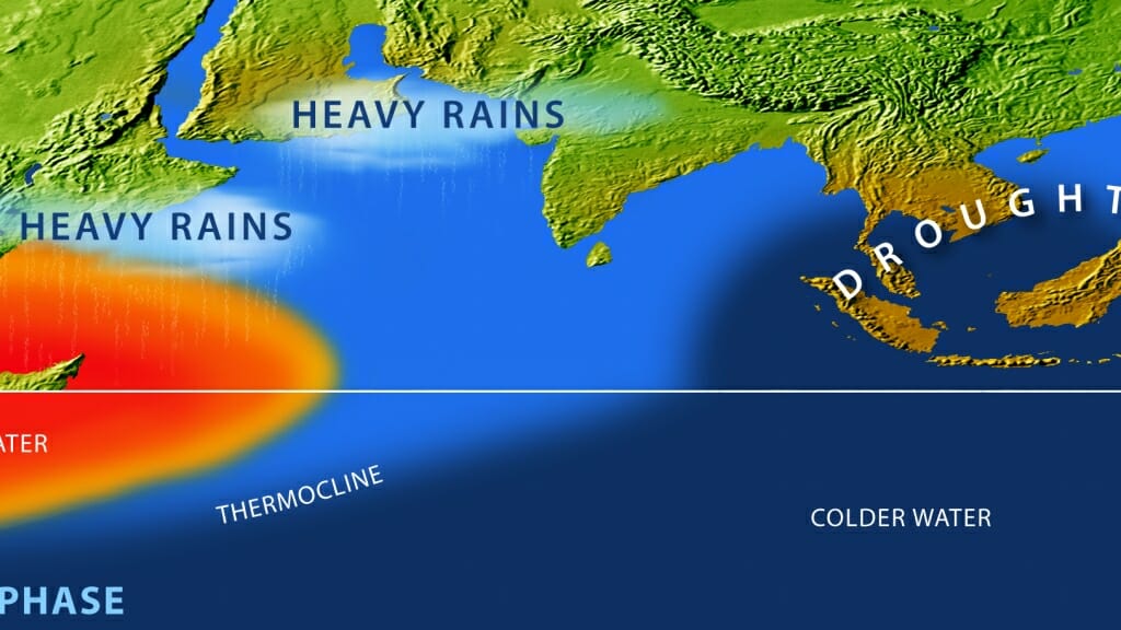 How new data can make ecological forecasts as good as weather forecasts How new data can make ecological forecasts as good as weather forecasts
