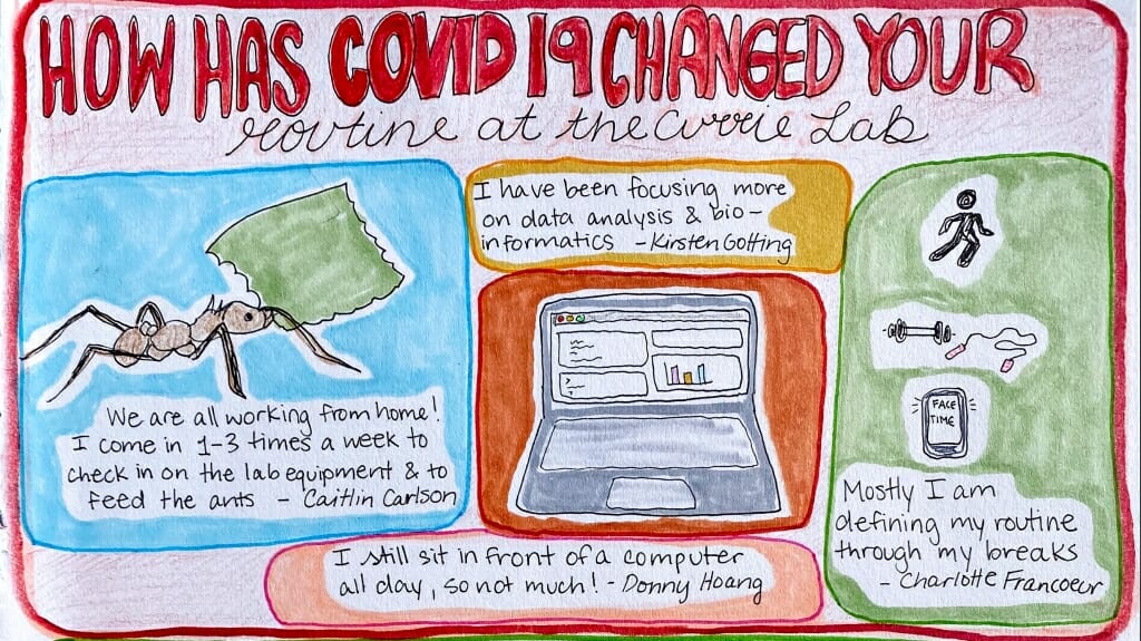 What’s stay-at-home like for researchers? – UW–Madison News