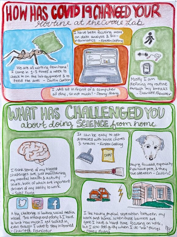 What’s stay-at-home like for researchers? – UW–Madison News