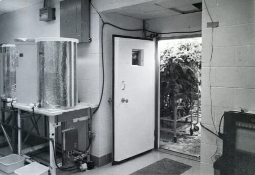 Biotron celebrates storied history as it ends 50-year run as a research ...