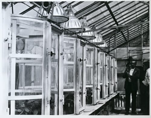 Biotron celebrates storied history as it ends 50-year run as a research ...