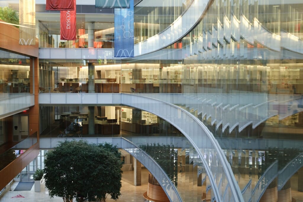 Decoding how bacteria talk with each other – UW–Madison News