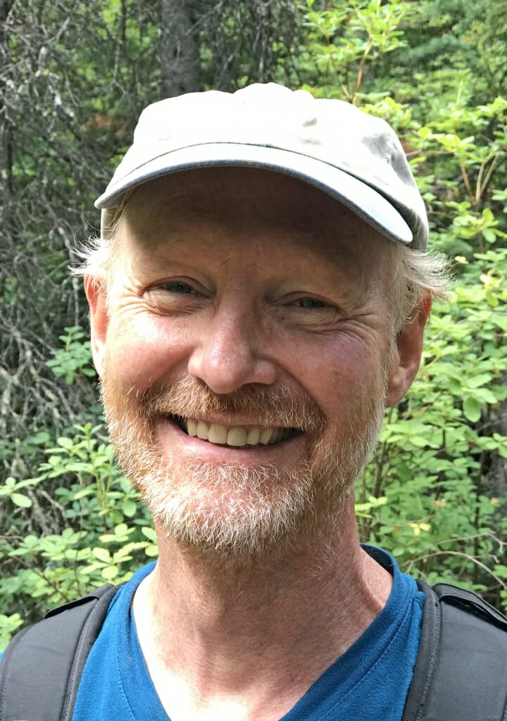 Population density and virus strains will affect how regions can resume ...