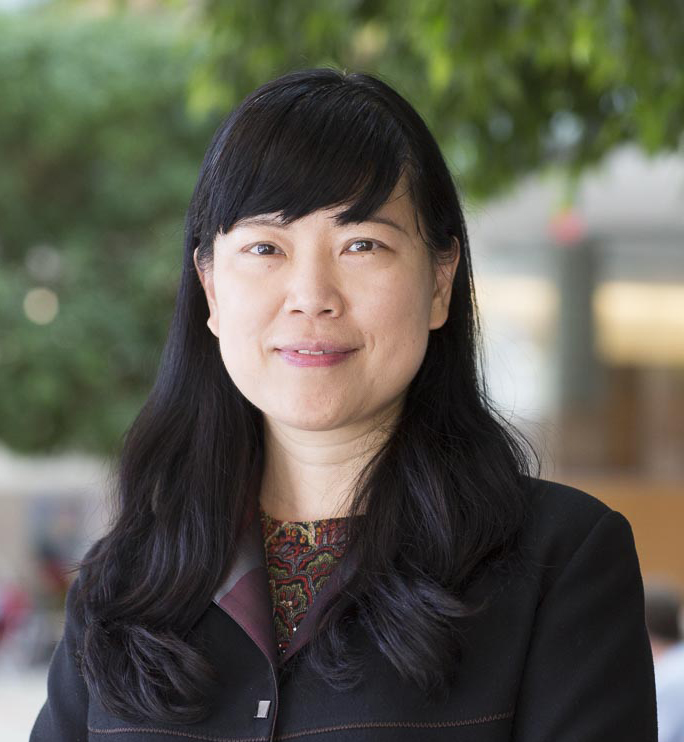 Measuring the Pancreas’s Protein Landscape Assists Diabetes and Cancer ...