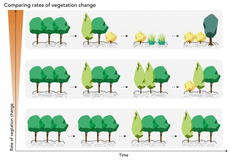 Earth’s vegetation is changing faster today than it has over the last ...