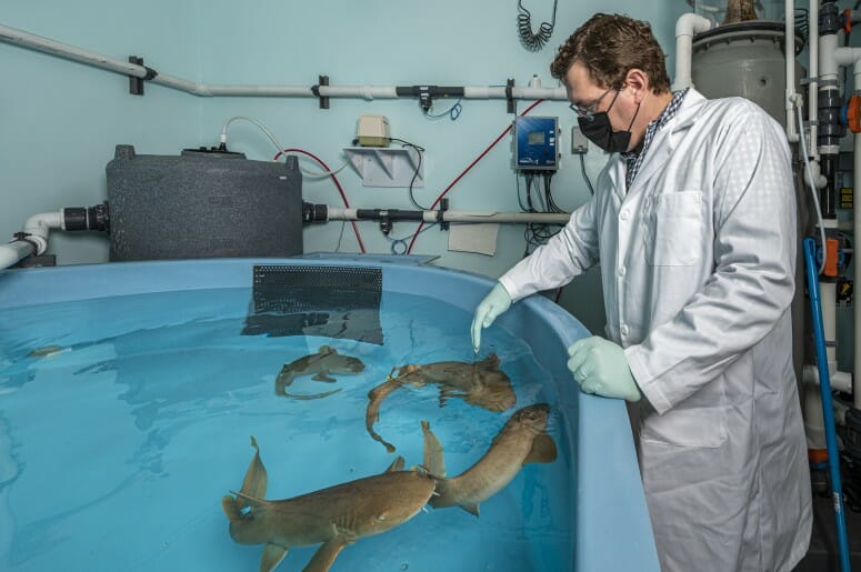UW research in 2022: From restored prairie to scorpion venom to the ...