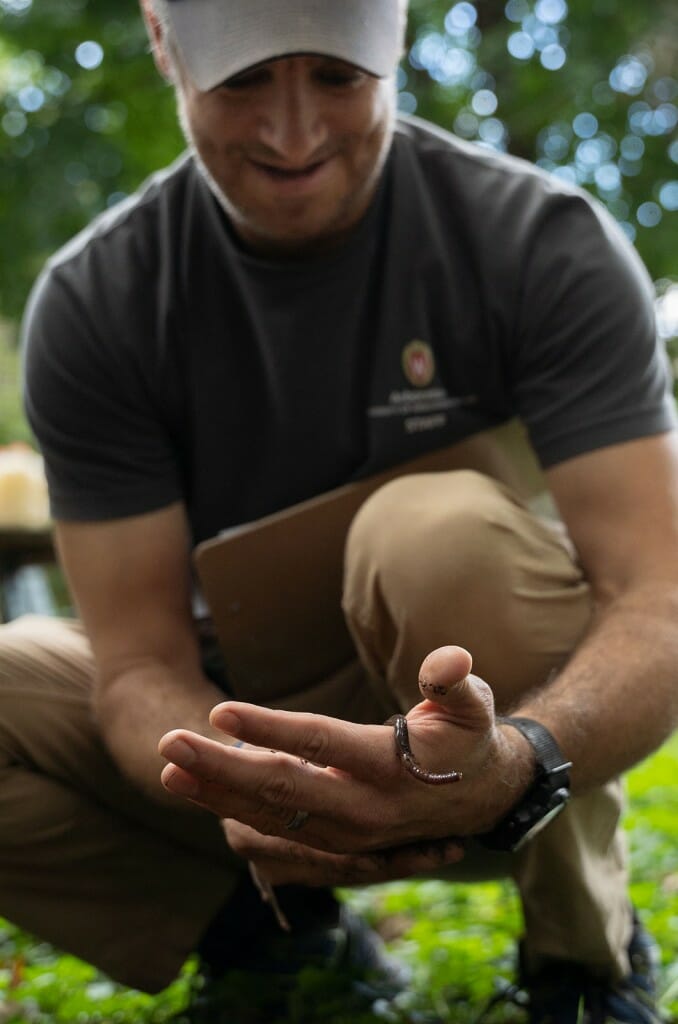 Monitoring an invasion: Where are jumping worms now? – UW–Madison News