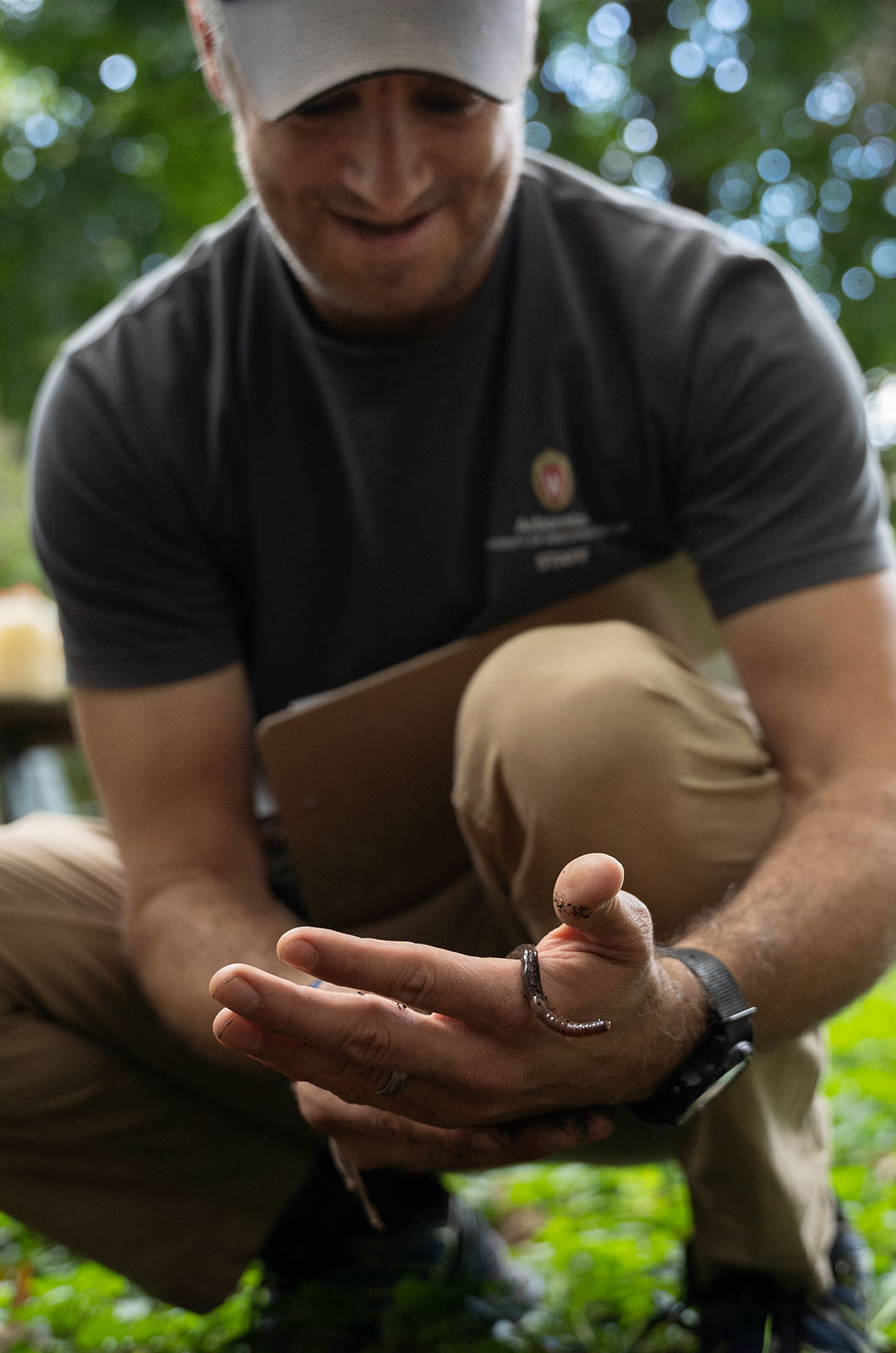 Monitoring an invasion: Where are jumping worms now? – UW–Madison News