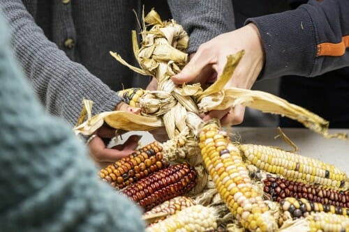 Students braid corn in Oneida tradition – UW–Madison News
