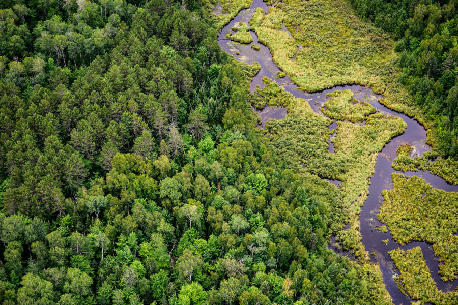 Researching Wisconsin’s great outdoors – UW–Madison News