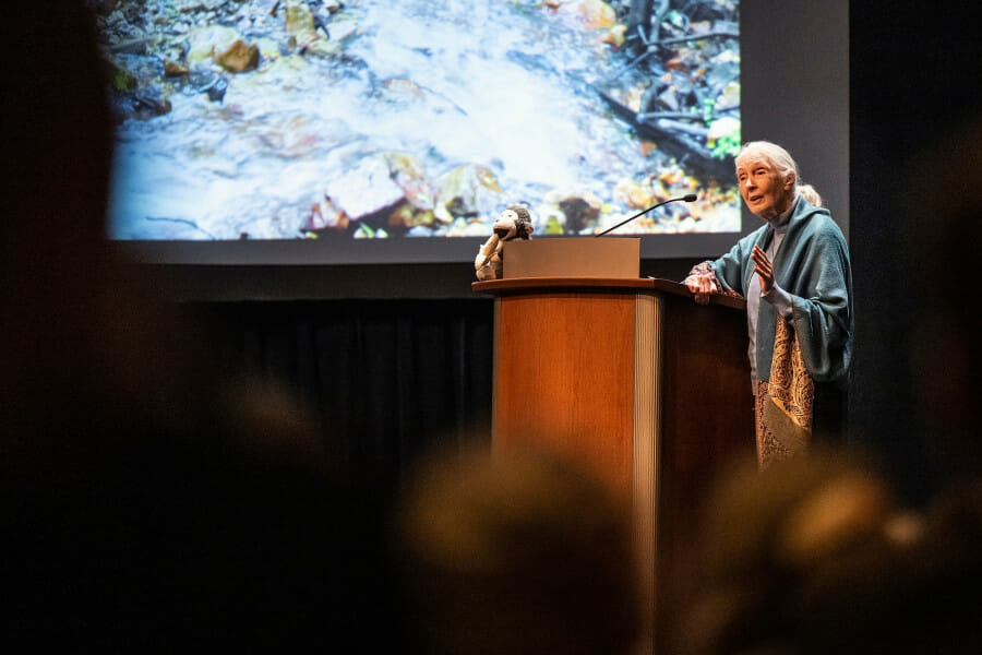 There’s still time for the planet, Goodall says, if we stay hopeful ...