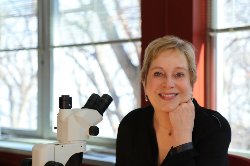 Meet the 2023 Hilldale Award Winners – UW–Madison News – UW–Madison