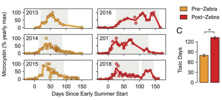 Earlier algae blooms, lingering toxins: Invasive species cause big ...