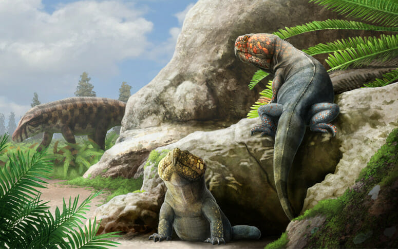 Newly described ancient reptile named in language of First Nations ...