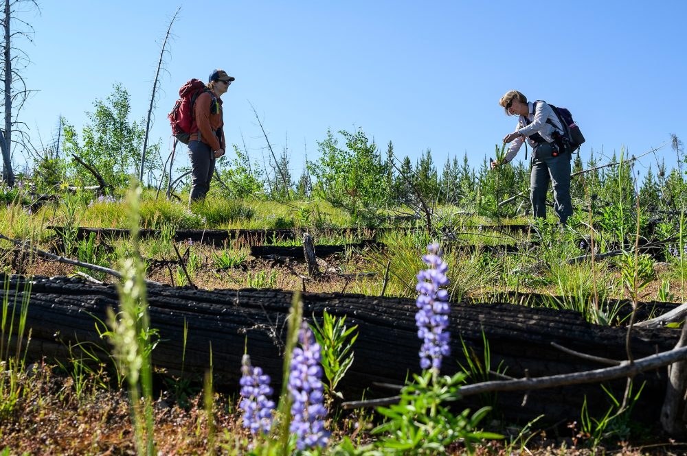 Tomorrow’s Yellowstone: Monica – UW–Madison News – UW–Madison