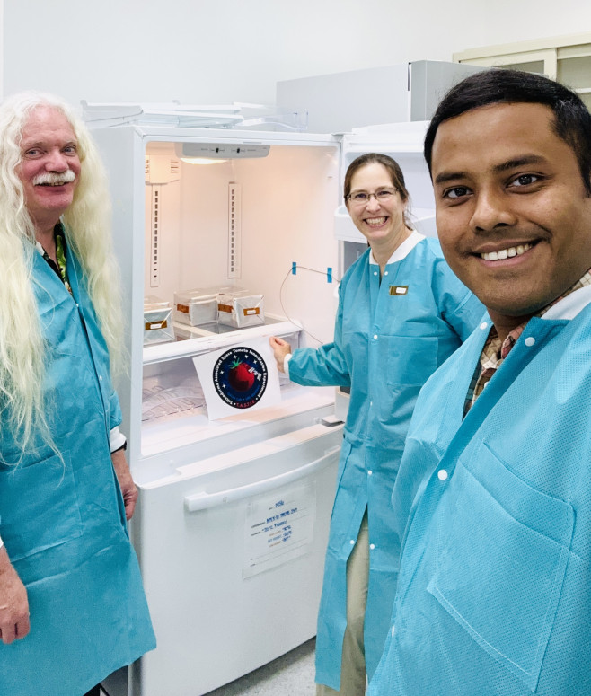 These tomatoes are out of this world… or they will be soon – UW–Madison ...