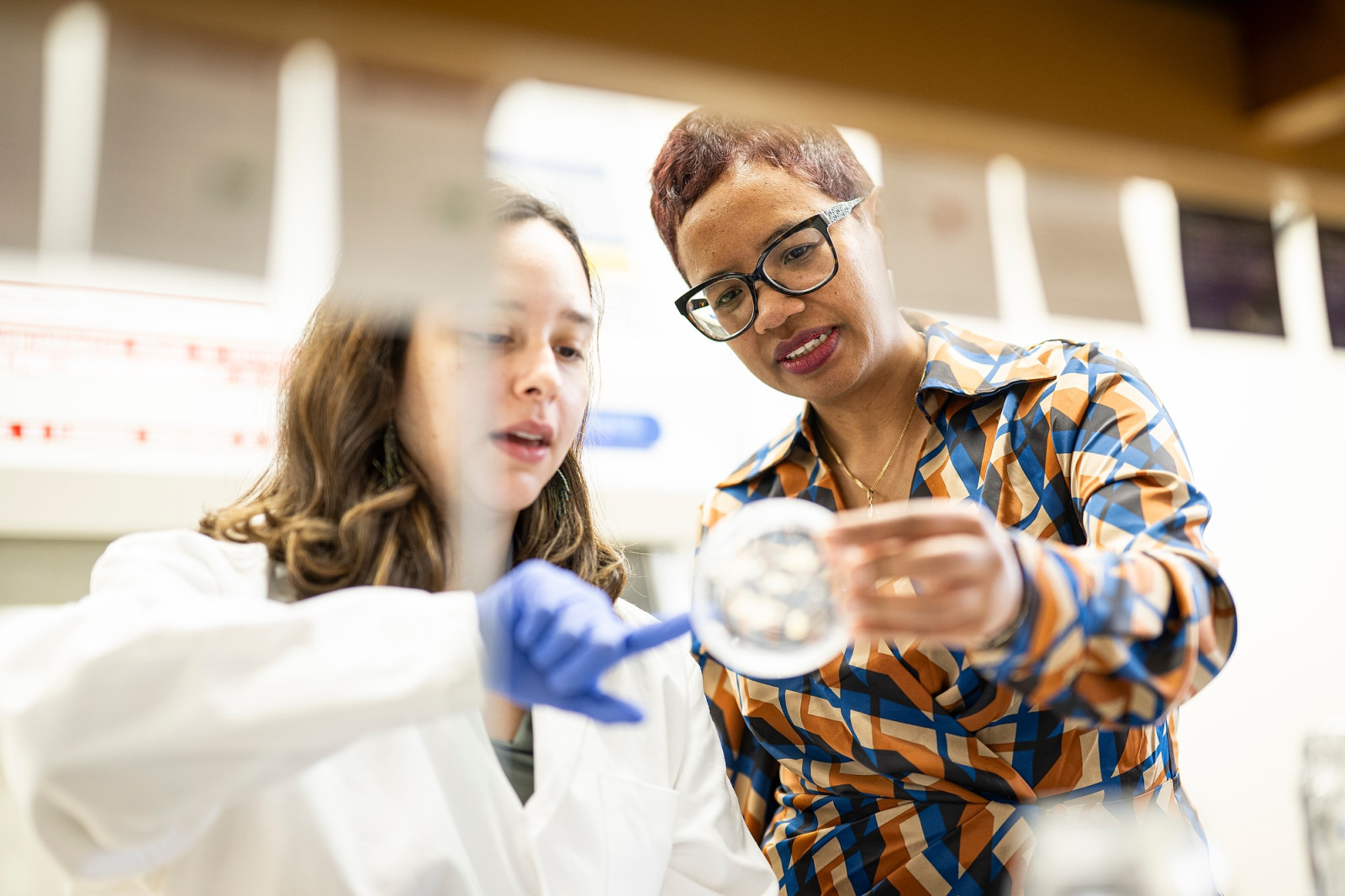 Meet the 2024 Distinguished Teaching Award winners – UW–Madison News