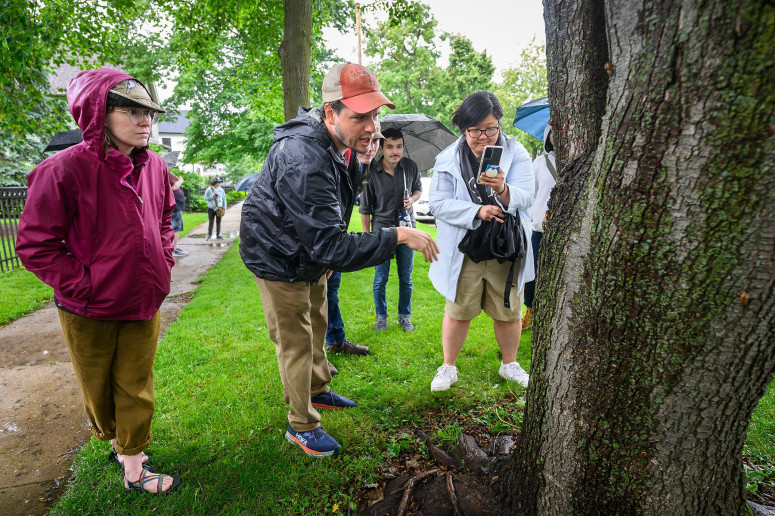 The buzz about cicadas – UW–Madison News – UW–Madison