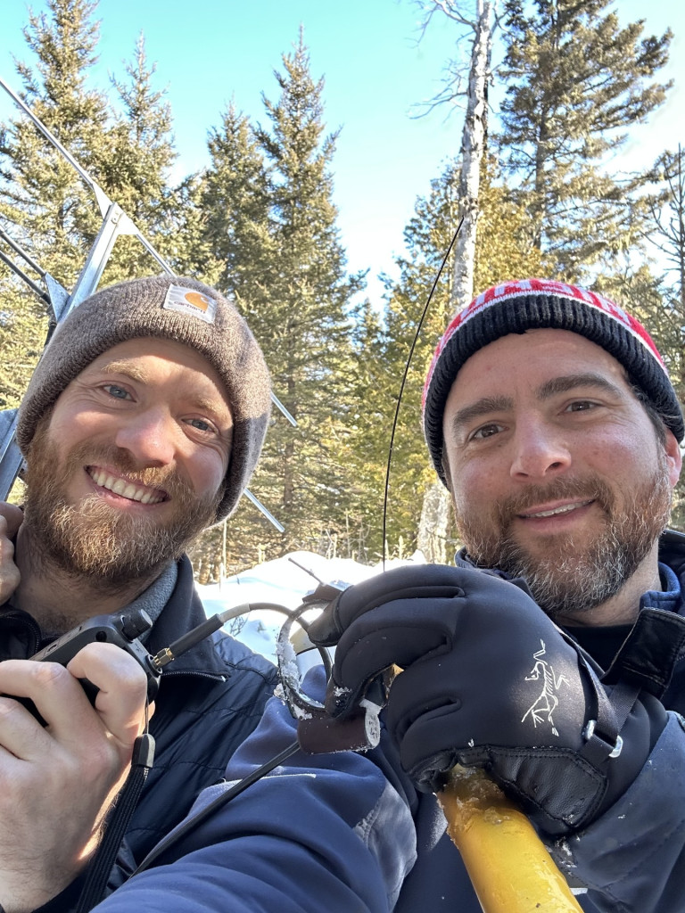 Wolves reintroduced to Isle Royale temporarily affect other carnivores ...