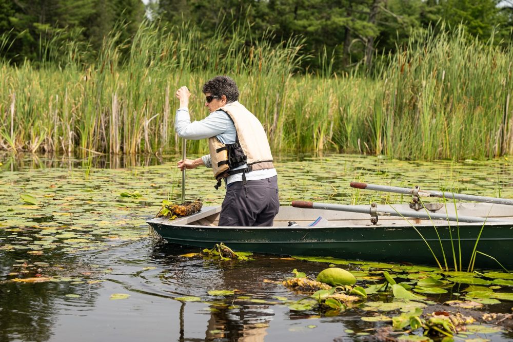 Summer at UW–Madison’s Trout Lake Station means science (mostly) – UW ...