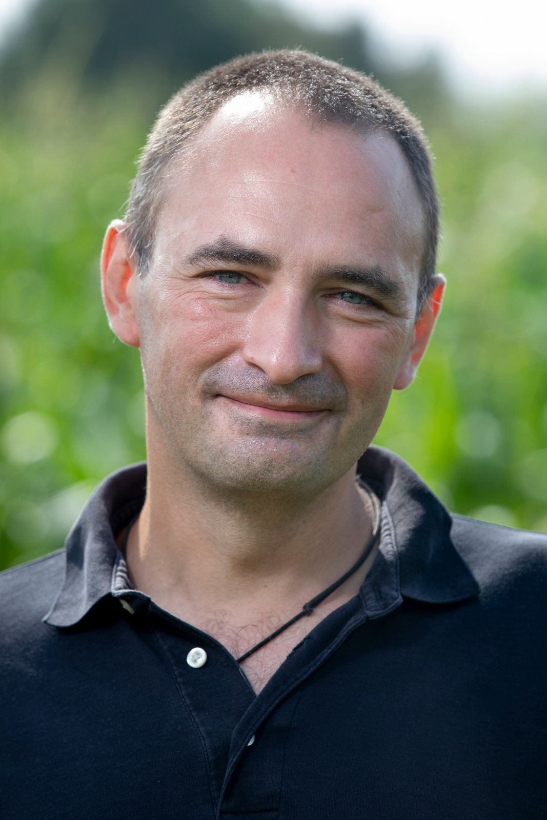 UW innovations are helping farmers produce crops with less fertilizer ...