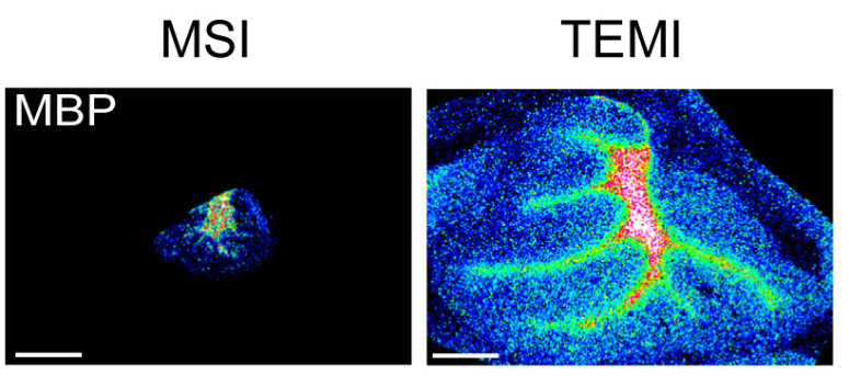 UW–Madison Scientists are Pushing the Boundaries of Mass Spectrometry ...