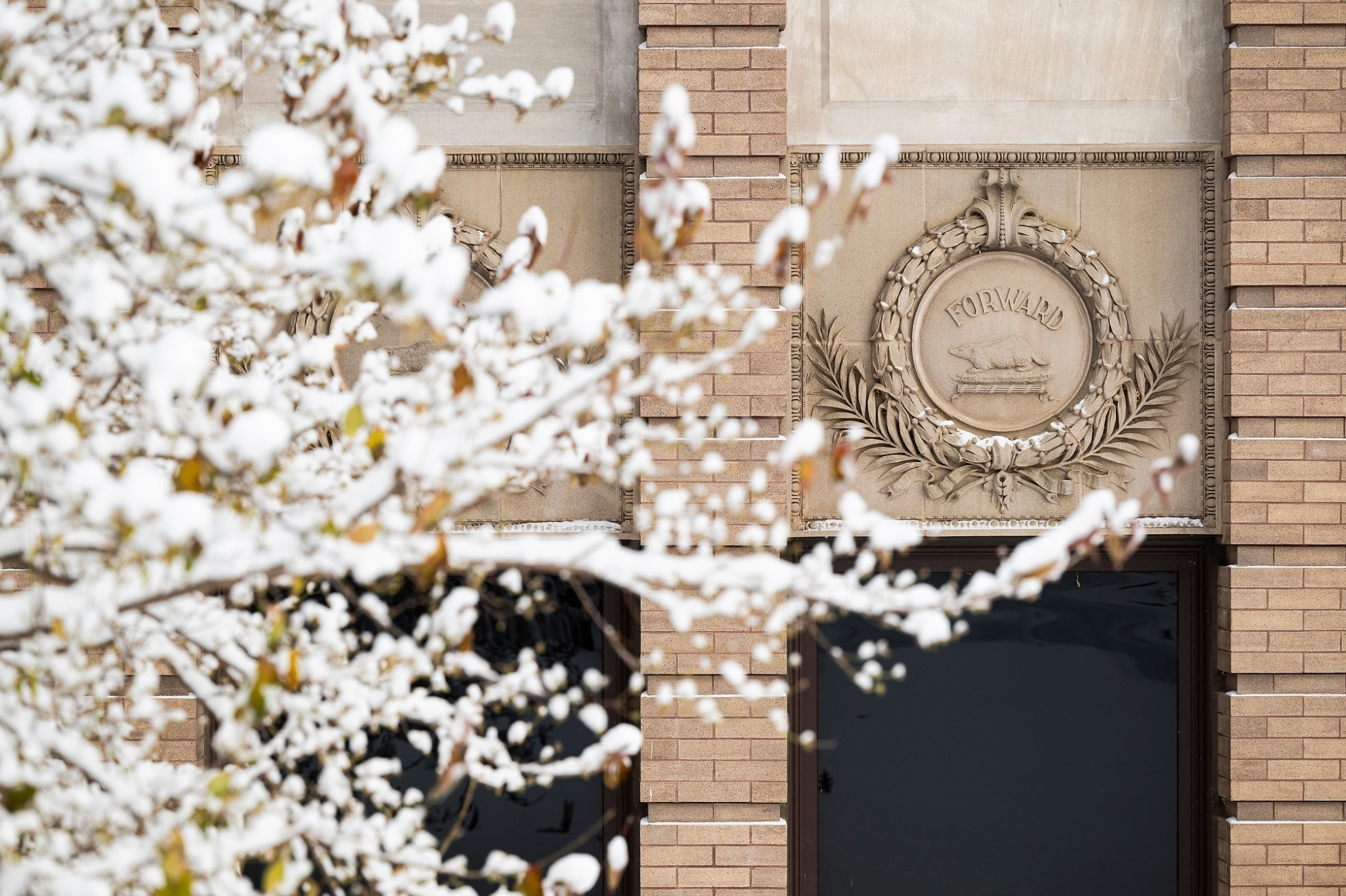 Snowfall creates a campus wonderland – UW–Madison News