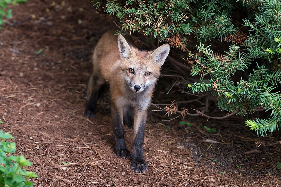 Moments in Time | UW-Madison News